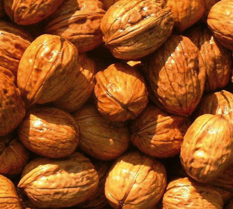 Fruits secs et fruits d'automne